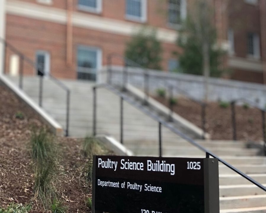 Commercial Project Spotlight: UGA Poultry Science Building - North ...